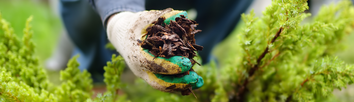 All about growing mediums - Netafim